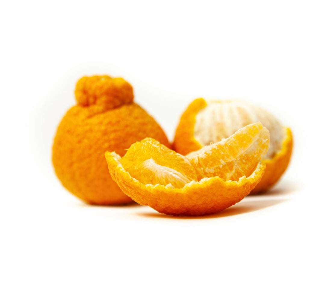 Shiranui – Squeeze Citrus